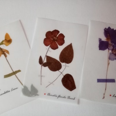 Beautiful Watercolor Handmade Paper Set Handmade Stationary - Etsy