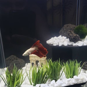 Plastic Moss Pads: Artificial Aquarium Plants Reptile | Etsy