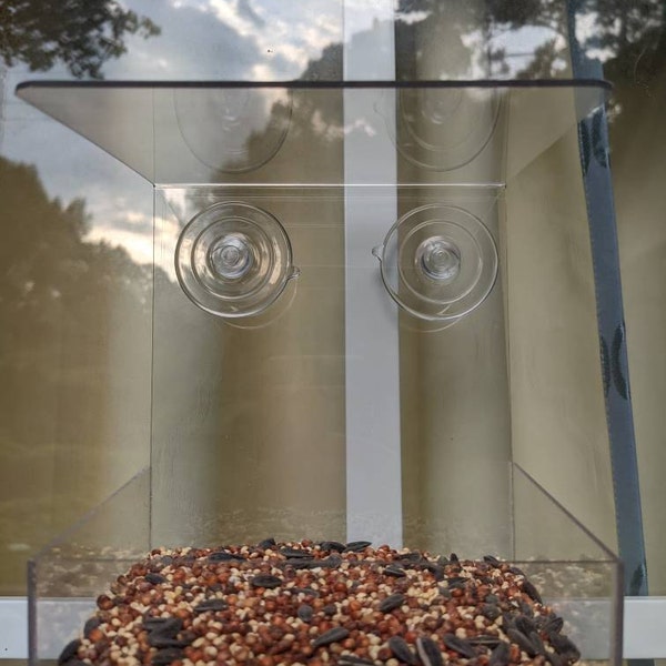 6 Ring Display Case for Collectors Rings, Championship Rings or Other ...