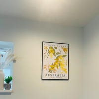 Wisconsin State Flower, Wisconsin Flower Market Art Print, Wood Violet ...