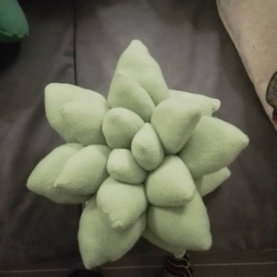 Succulent Pillow Sewing Pattern - Etsy