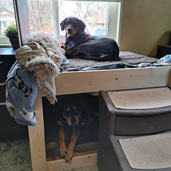 Unfinished Furniture--the "archer"-the ORIGINAL!! Dog Bed Platform With ...
