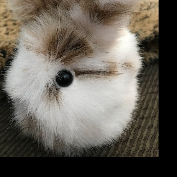 Fluffy Bunny Stuffed Animal Cute Plush Toy White Cottonball the Bunny ...