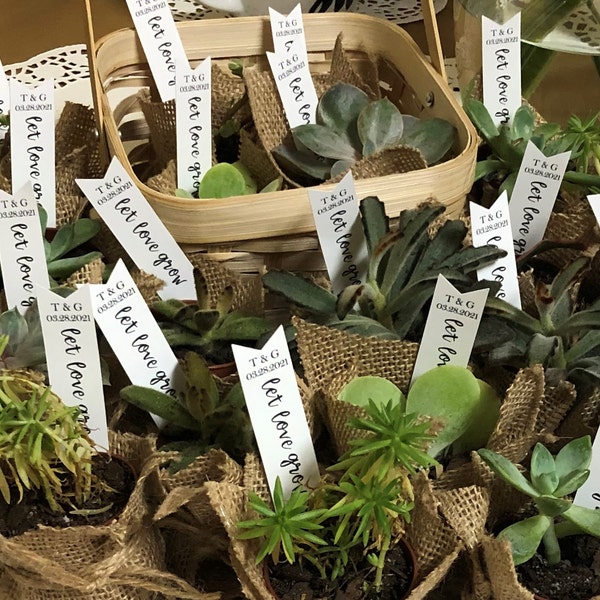 Let Love Grow Favor Tags, Succulent Favor Tag, Bridal Shower Favor Tags ...