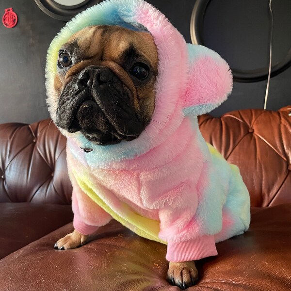 Frenchiestore Organic Dog Frenchie Ear Hoodie | Care Bear - Etsy
