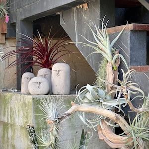 Funny Stone , Stone Face Figurine, Meme Funny Stone, Stone Carving Face ...