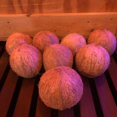 Whole Coconut Shell Emptied Out - Etsy