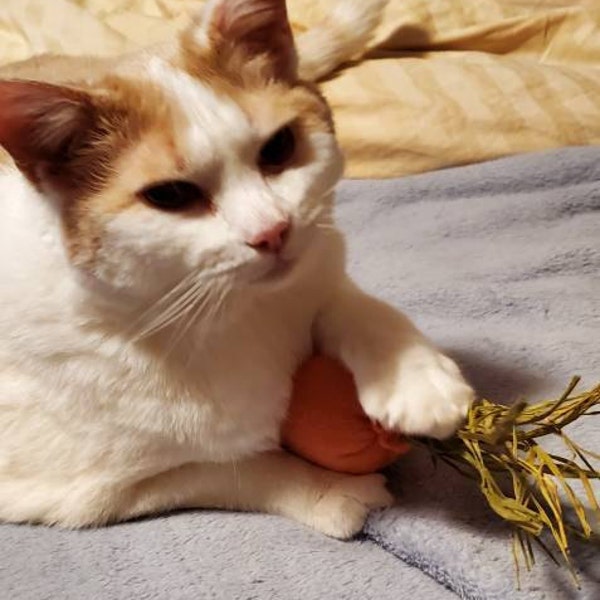 Orange Carrot Catnip Toys. - Etsy