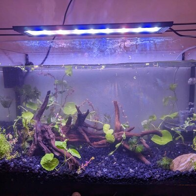 4 Fish Tank Decal Stickers Aquarium Gifts Laptop Hobby Vinyl - Etsy