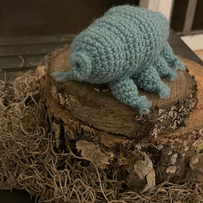 Tardigrade Amigurumi Crochet Pattern PDF English - Etsy