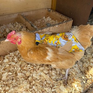 Mermaid Chicken Tutu | Etsy