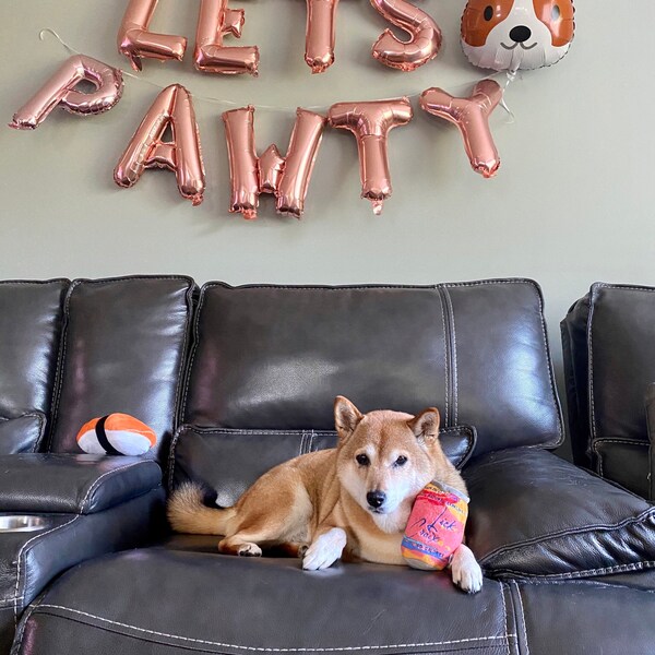 Lets Pawty Balloons | Dog Puppy Birthday Party Decoration | Puppy ...