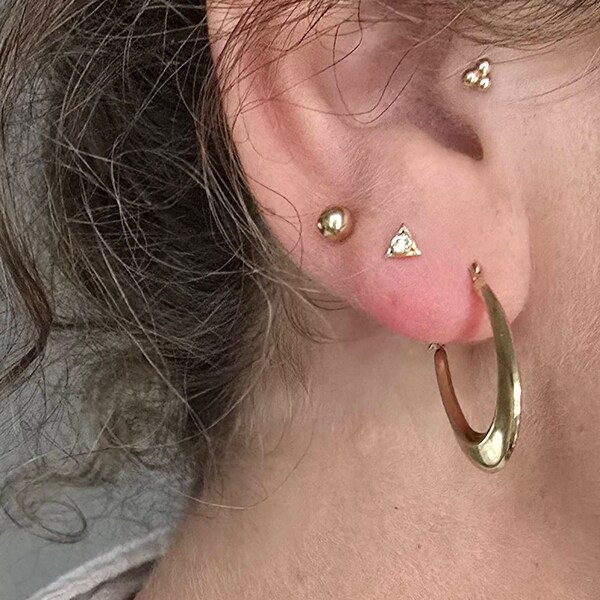 16G Abalone Shell Moth Septum Ring/hinged Segment Septum Clicker/daith ...