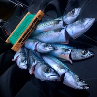 Fishing Hand Line - Drop Line - Great for Blue Crabs Flounder Mackerel ...