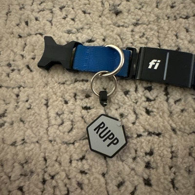 Grey Dog Tag Silicone Dog Tag Hexagon Pet ID Quiet Dog Tag Durable Pet ...