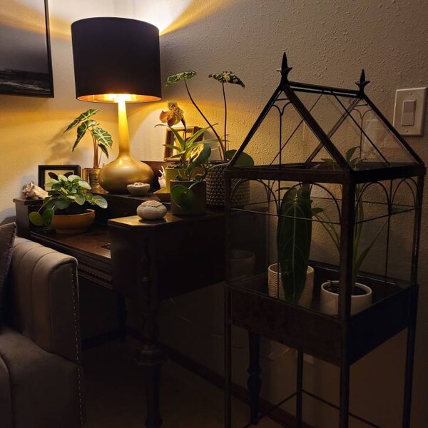 H Potter Large Terrarium Wardian Case Glass Metal Indoor Display Case ...