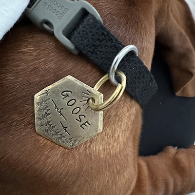 Dog Tag, Sun Tag, Dog Tags for Dogs, Personalized Dog Tag, Pet Id Tag ...