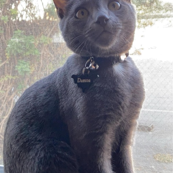 Cyberpunk T-virus LED Pendant Cyberpunk T-virus LED Ornament Virus ...