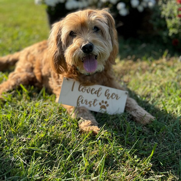 First Birthday Cake Topper One Script Cut File Instant Download - Etsy