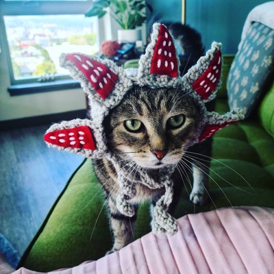 MADE TO ORDER Catogorgon Cat Hat-cat Costumes-cat Hats - Etsy