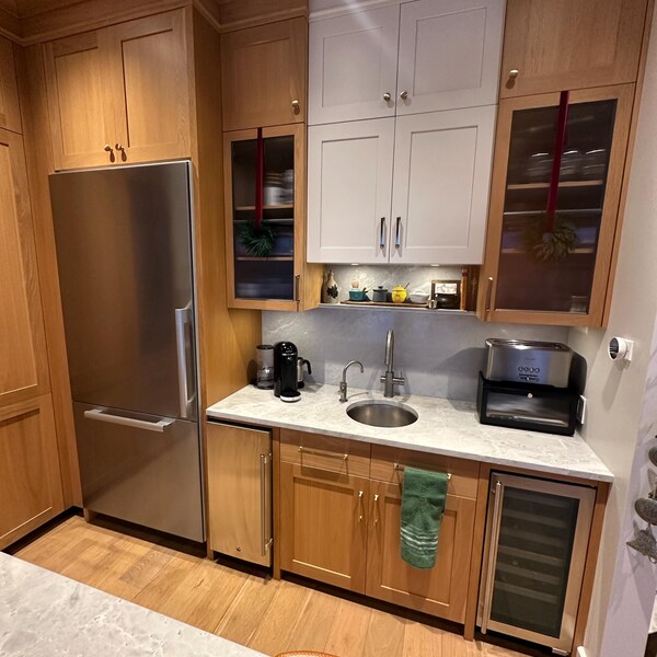 16" Light Pink Billy Buttons, Pink Dried Craspedia, Pink Billy Balls ...