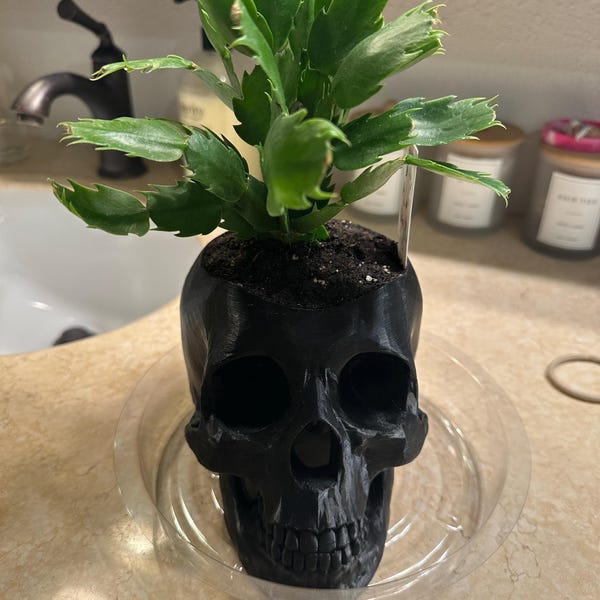 Whale Planter, Succulent Pot, Sea Creature, 3D Printed - Etsy