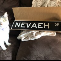 Nevaeh Nevaeh Sign Nevaeh Gift Nevaeh Decor Child Gift - Etsy
