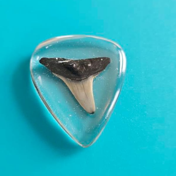 Resin Leopard Gecko - Etsy