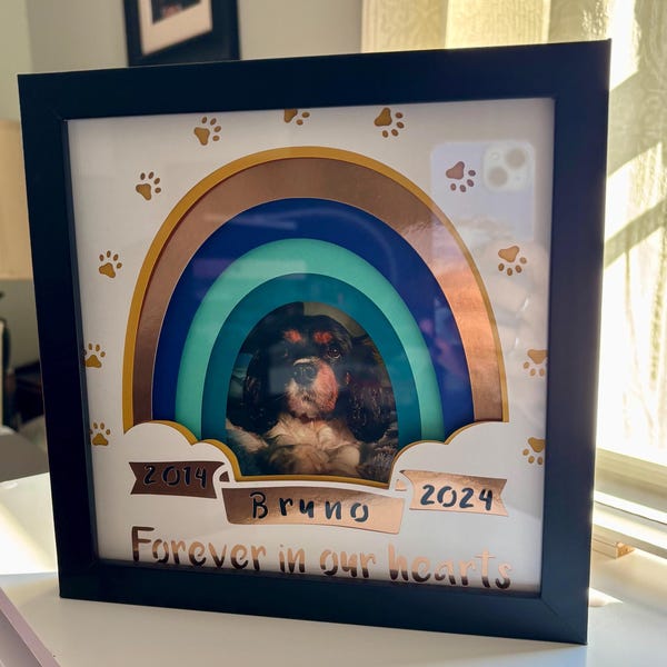 3D Custom Pet Memorial Shadow Box, Personalized Dog, Customizable Pet ...