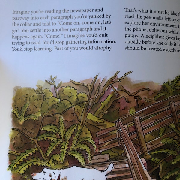 Shut up and Draw, Chapter 1: Where's Willa? - Etsy