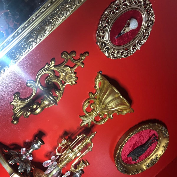 Glass Coffin Shelf Display - Etsy