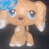 Littlest Pet Shop LPS Lot of 10 Pc Accessories in Gift Bag Random ...