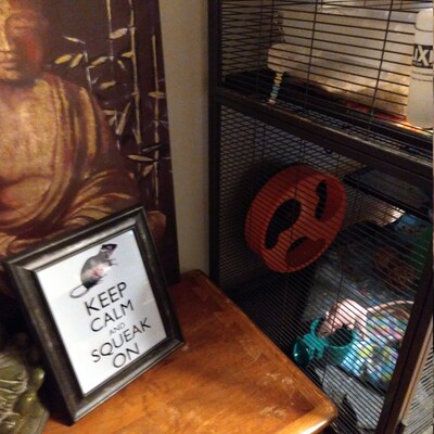 Keep Calm Rat Art Print 8 X 10 Keep Calm and Squeak on Pet Rat Quirky ...