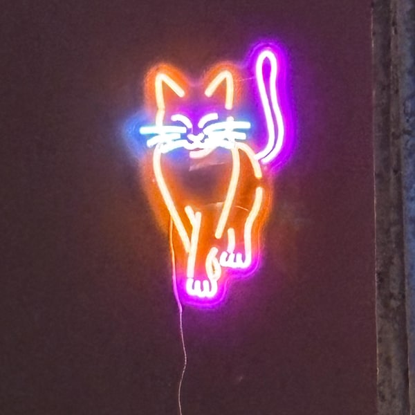 Lightning Bolt Neon Sign, LED Thunder Neon Light, Weather Neon Sign ...