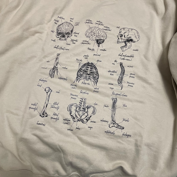 Human Skeleton Anatomy Sweatshirt, Unisex Medical Hoodie, Human Body ...