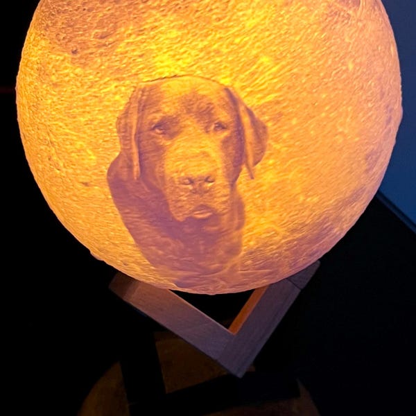 Custom Photo 3D Moon Lamp, Personalized Photo Printed Lunar Night Moon ...