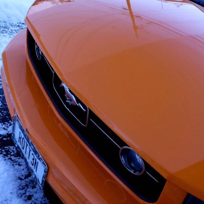 Going to Hell Satanic Goth License Plate Frame Goth Car Accessories ...