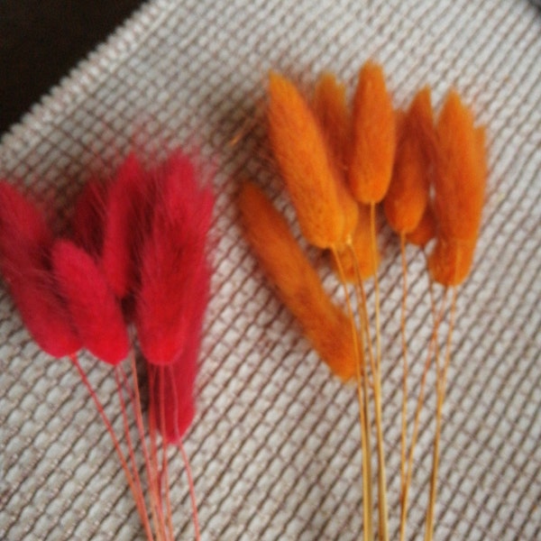 Mini Dried Bunches in Red, Red Dried Flowers, Small Flower Bundles, Red ...