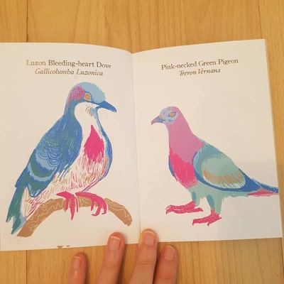 Pidgeonary a Pigeon Appreciation Book, Pigeon Gifts, Zine, Nature Art ...