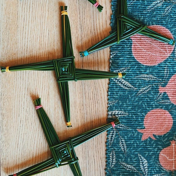 Devil Pod / Bat Nut / Water Caltrop /trapa Bicornis - Protective Amulet ...