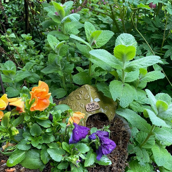 Handmade/toad Hotel/toad Inn/ Toad Home/toad Abode/toad Hut/ceramic ...