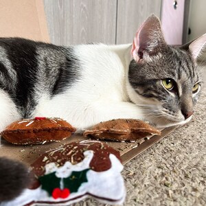 Magical Purple Moon Cat Toy With White Embroidered Stars, Witch Catnip ...