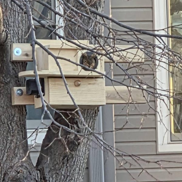 Nestview™ Blink 4 Camera Enclosure: Easily Mount Any Blink 4, 2K, or 2K ...