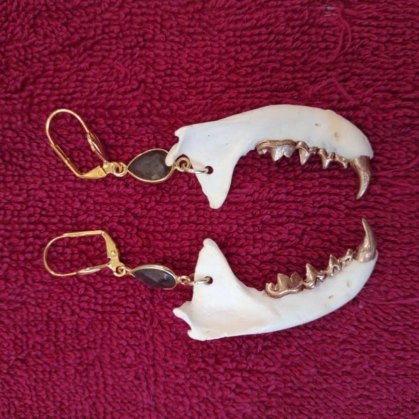 Crescent Moon Python Vertebrae Hoops - Etsy