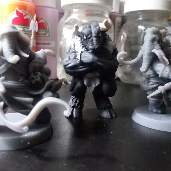 Elephantfolk Heroes - Loxodon Set- Elephant - NPC - 28mm Miniatures for ...