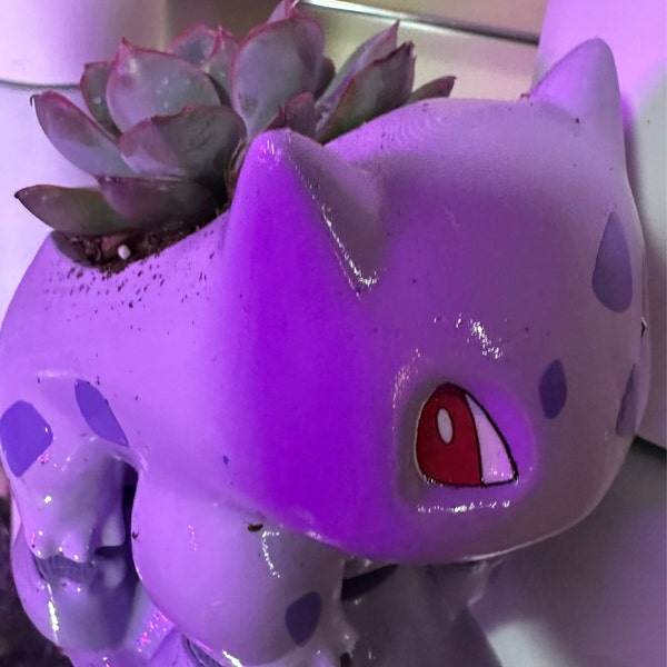 Painted Bulbasaur Planter With Live Succulent/cactus - Green/shiny ...