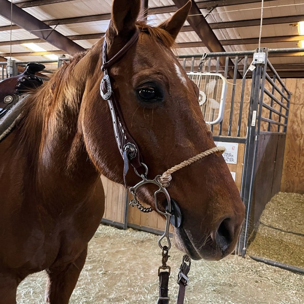 Custom Slot Ear Headstall With Buckstitching - Etsy