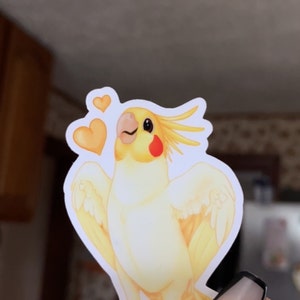 Heartwings Cockatiel Sticker Weatherproof - Etsy