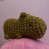 Capybara CROCHET PATTERN 3 in 1, Amigurumi Capybee, Crochet Bee ...