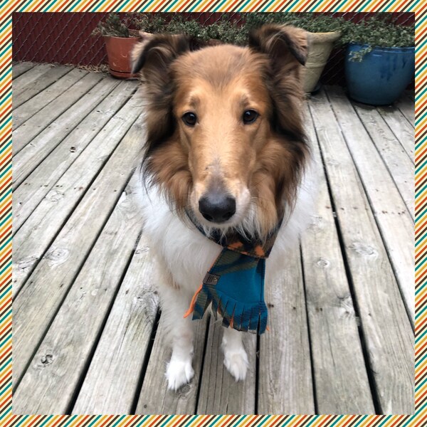 Dog Scarf, Fall Dog Scarf, Winter Dog Scarf, Plaid Dog Scarf, Fleece ...